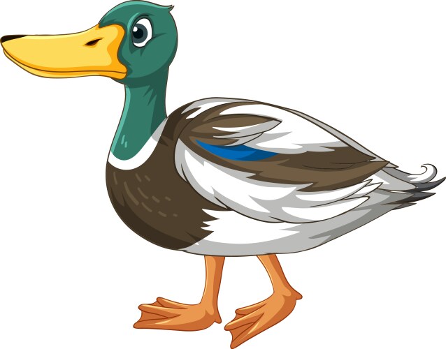 A duck Royalty Free Vector Image - VectorStock
