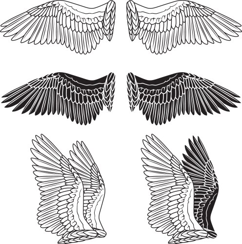 Dove Vector Images (over 60,000)