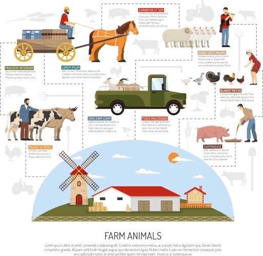 Labels with different farm animals Royalty Free Vector Image