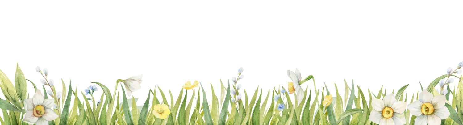 Watercolor banner with wildflower Royalty Free Vector Image