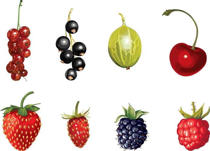 Berries Vector Images (over 230,000)