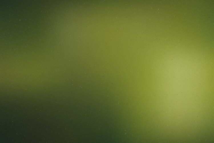 Dark green paper texture colored gradient Vector Image