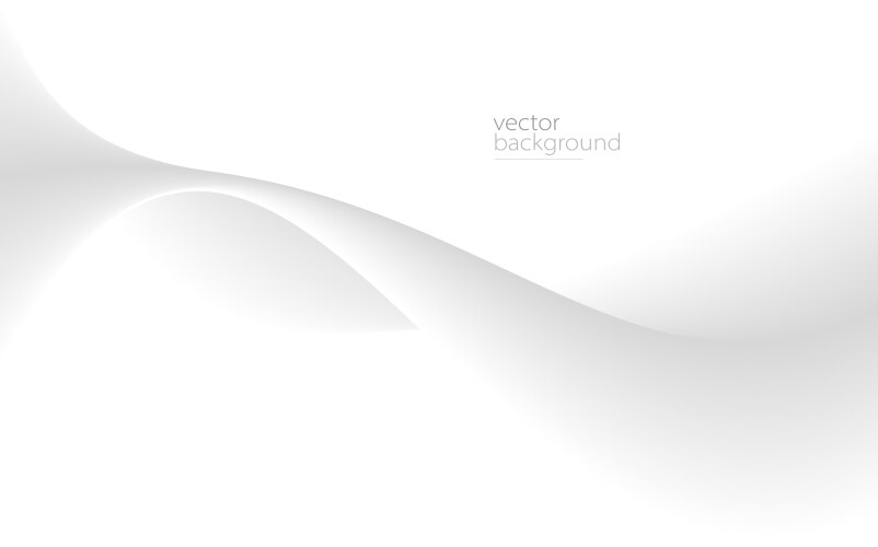 Flowing grey curve shape with soft gradient Vector Image