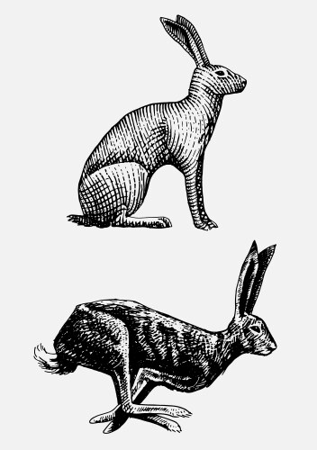 Rabbit Sitting Vector Images (over 7,000)