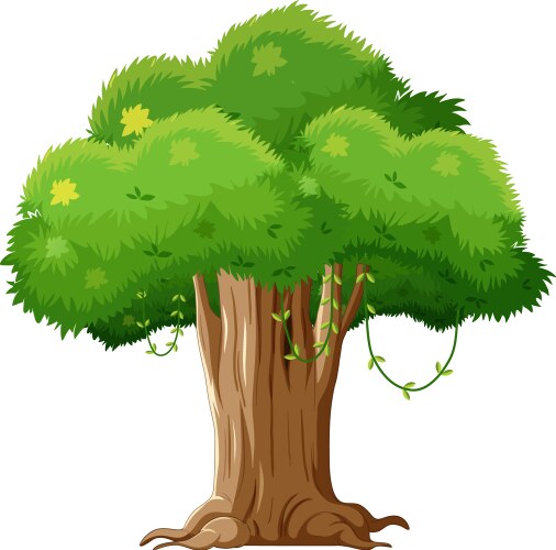Cartoon of the forest scene with many trees Vector Image