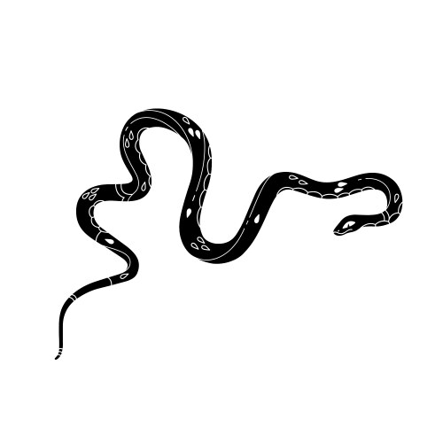 Long Snake Vector Images (over 1,600)