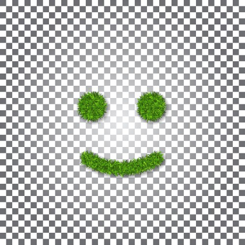 Green grass face smile smiley grassy icon Vector Image