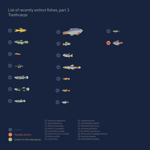 List of recently extinct fishes Royalty Free Vector Image