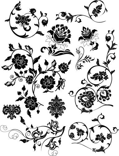 Floral design elements Royalty Free Vector Image