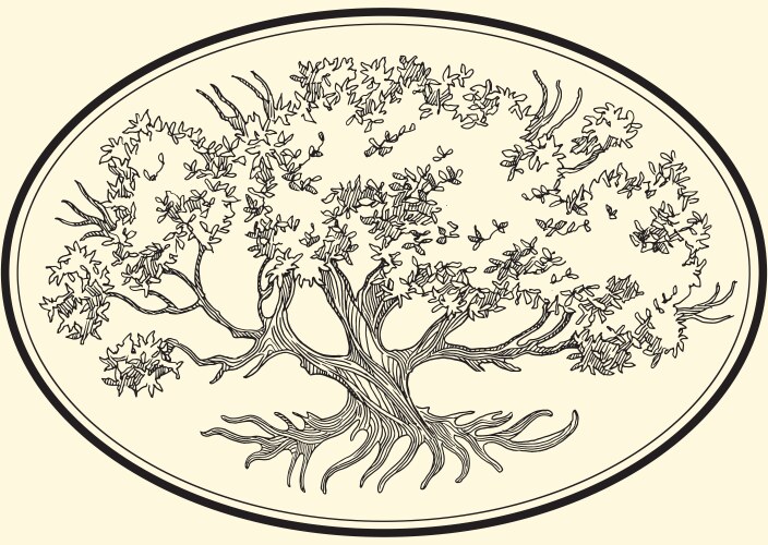 Beech Tree Vector Images (over 3,200)