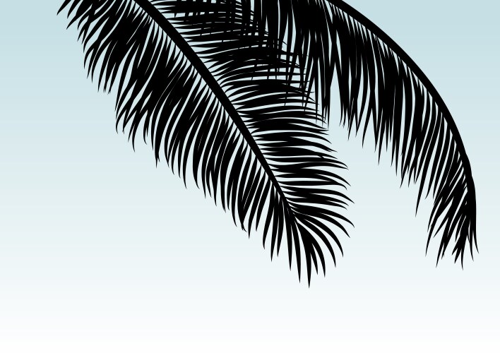 Coconut Leaves Vector Images (over 7,100)
