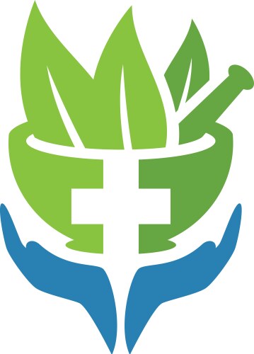 World globe medical travel insurance logo Vector Image