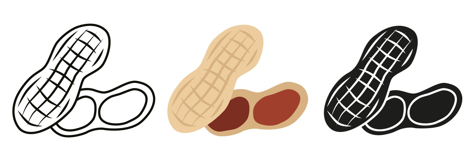 Peanuts in Shell Vector Images (over 2,800)