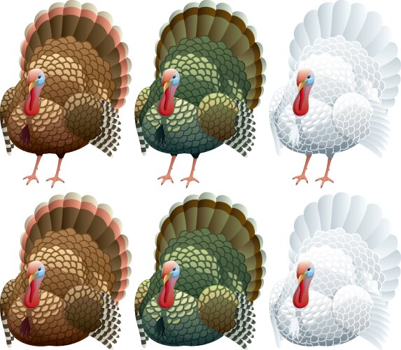 Cartoon Turkey Feathers Vector Images (over 2,000)