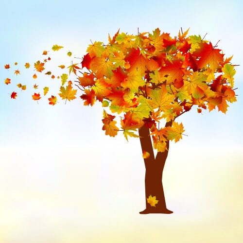 Autumn tree Royalty Free Vector Image - VectorStock