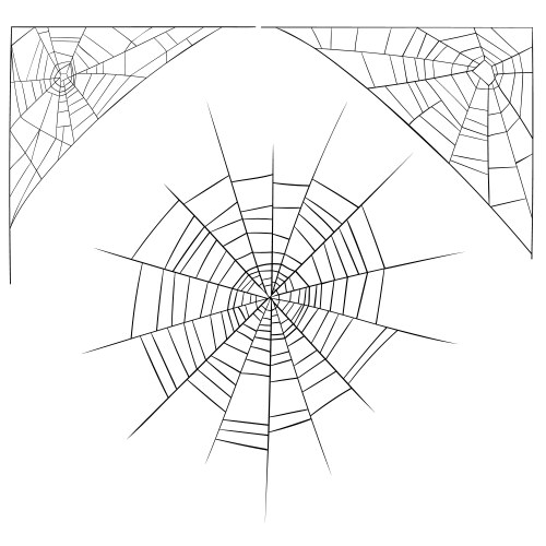 Spider Web Drawing Vector Images (over 5,300)