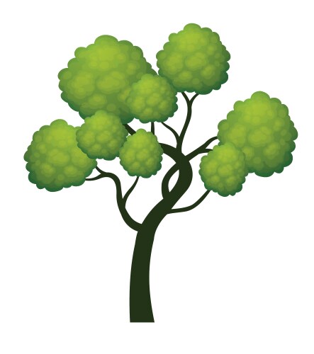 Green spring tree Royalty Free Vector Image - VectorStock
