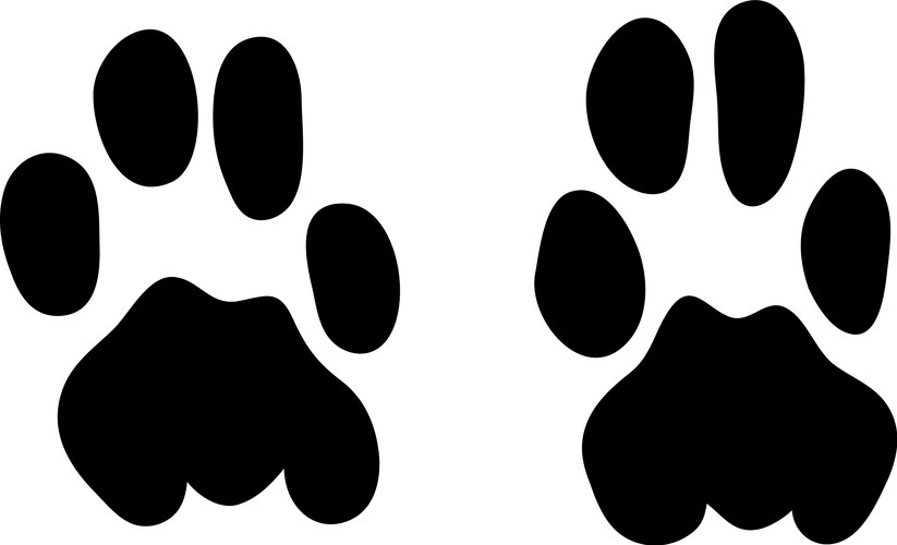 Animal footprint seamless pattern Royalty Free Vector Image