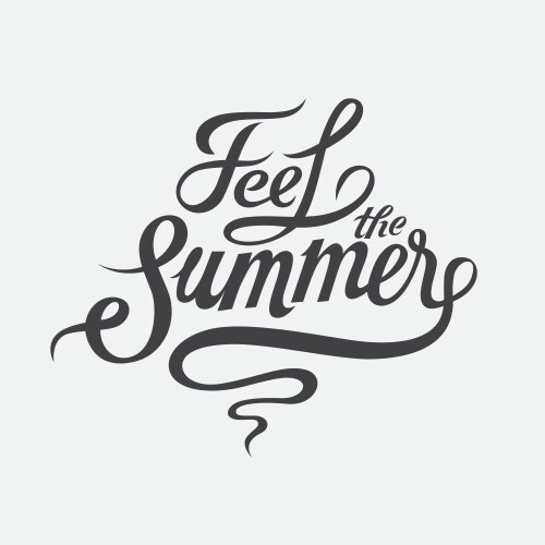 Summer hand written lettering inscription Vector Image