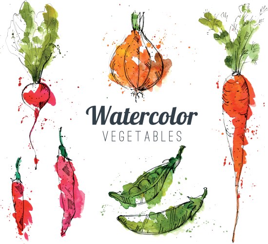 Vegetables Vector Images (over 620,000)