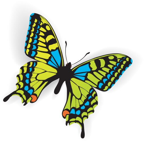 Butterfly Vector Images (over 190,000)