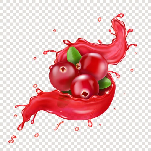 Red Juice Splash Vector Images (over 4,300)