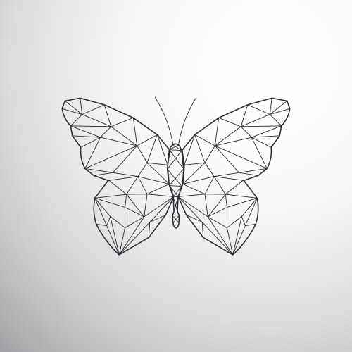 Geometric Butterfly Vector Images (over 5,700)