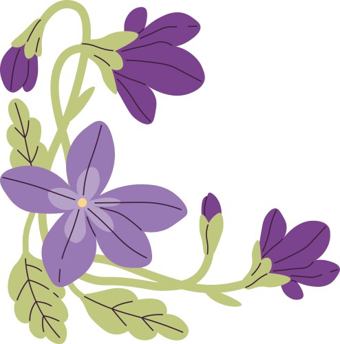 Viola flowers with leaves Royalty Free Vector Image