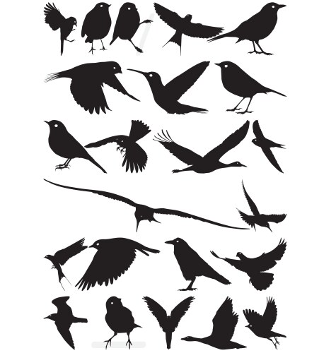 Birds Vector Images (over 620,000)