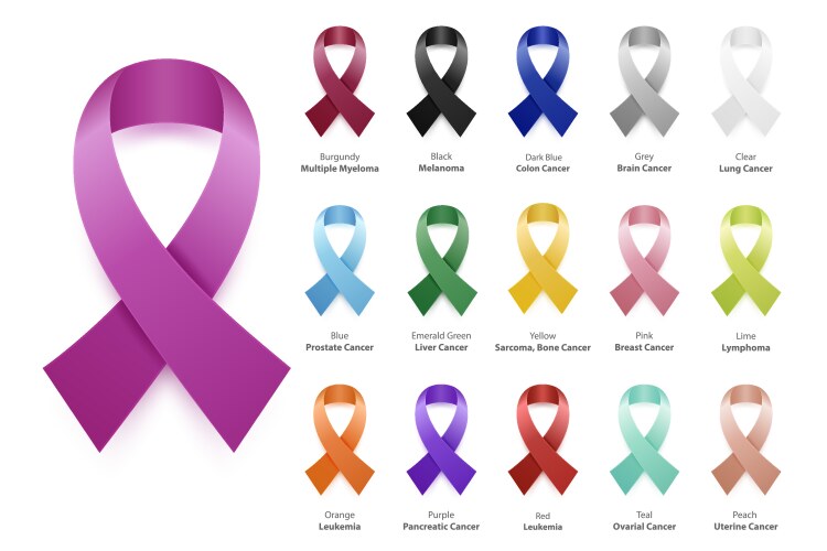 Set ribbon all cancers cancer awareness ribbons Vector Image
