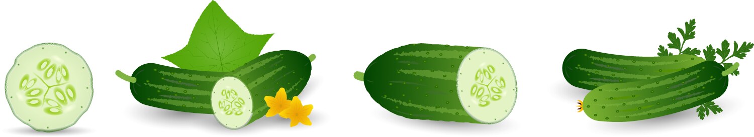 Cucumber Cartoon Vector Images (over 11,000)