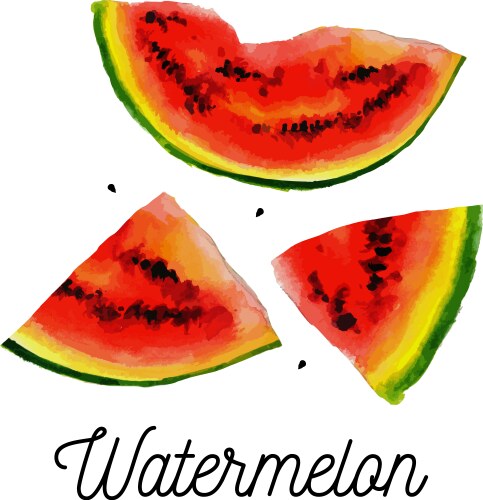 Watermelon on blue Royalty Free Vector Image - VectorStock