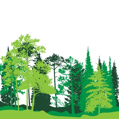 Landscapes with pine trees Royalty Free Vector Image