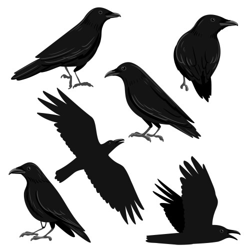 Ravens Vector Images (over 9,700)