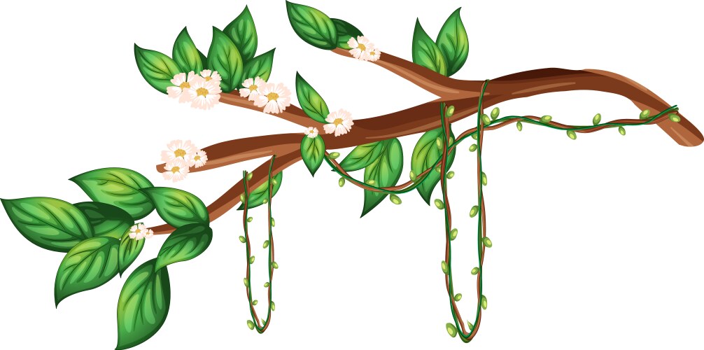 Cherry blossom branch isolated Royalty Free Vector Image