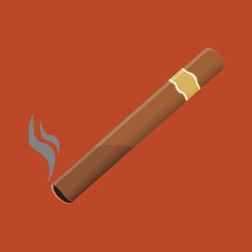 Burning cigarette Royalty Free Vector Image - VectorStock