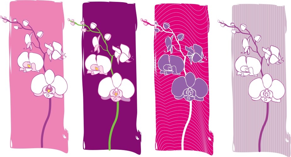 Orchids Vector Images (over 22,000)