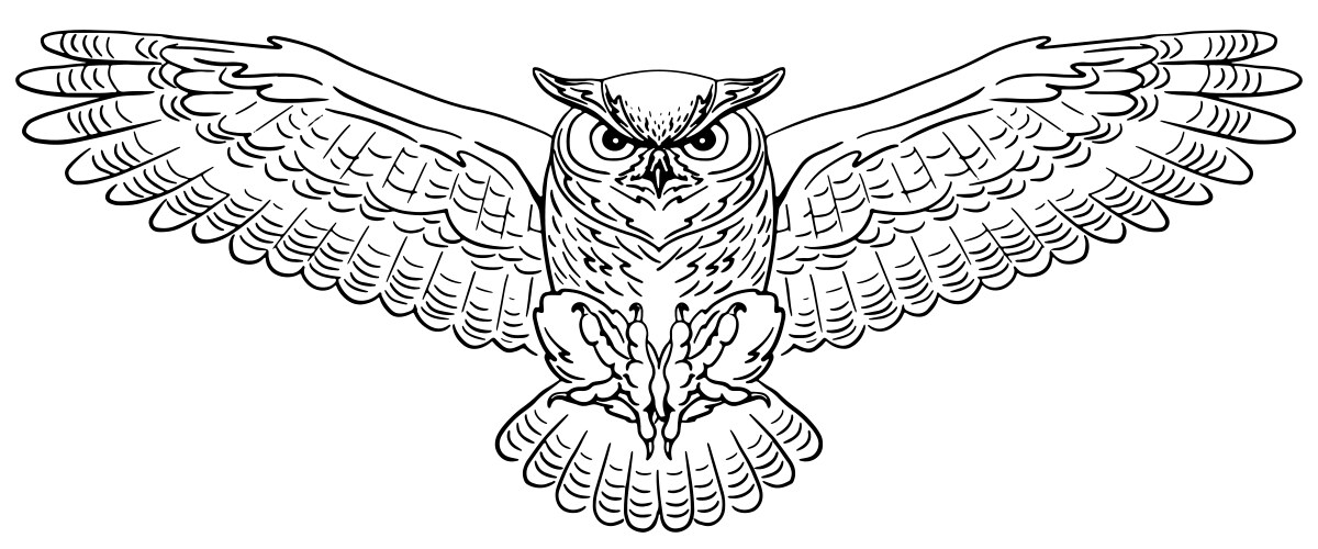 Line Drawing Owl Vector Images (over 9,000)