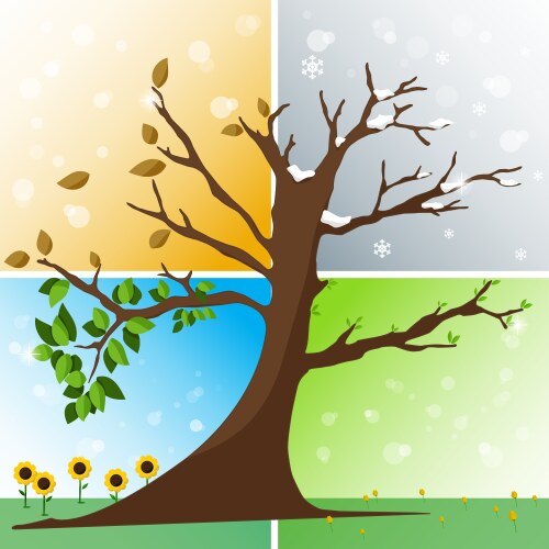 Cartoon tree seasons set on a nature landscape Vector Image