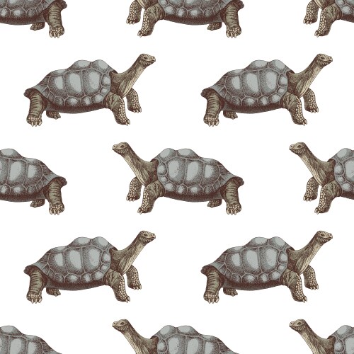 Island Vector Images (over 220,000)