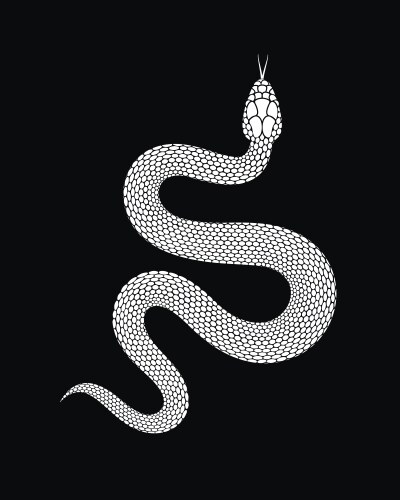 Snake Royalty Free Vector Image - VectorStock