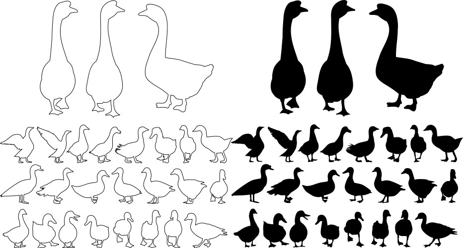 Flying Geese Silhouette Vector Images (over 280)