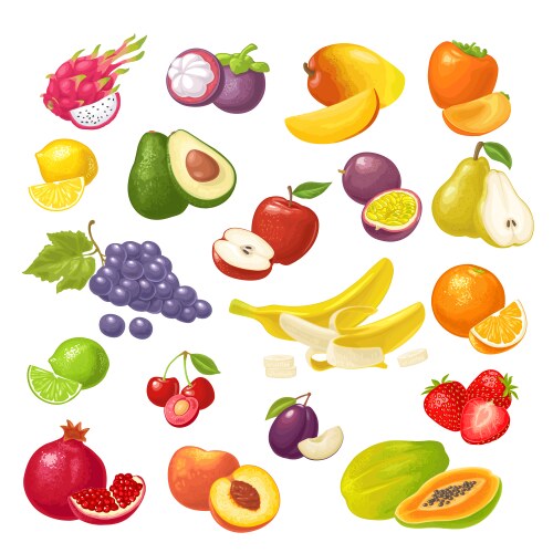 Fruit Royalty Free Vector Image - VectorStock