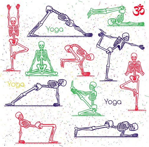 Skeleton practicing yoga Royalty Free Vector Image