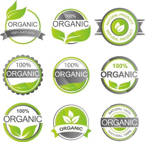 Organic elements Royalty Free Vector Image - VectorStock