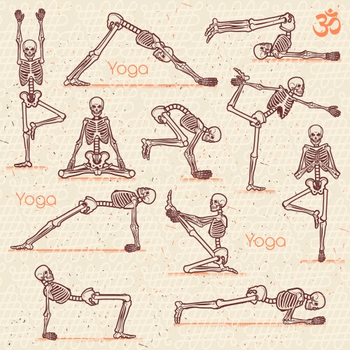 Skeleton practicing yoga Royalty Free Vector Image