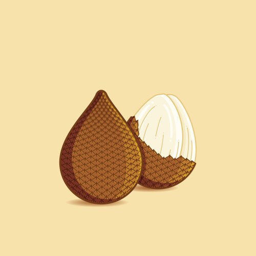 Salak Vector Images (over 340)