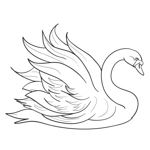 Swan Outline Vector Images (over 2,800)