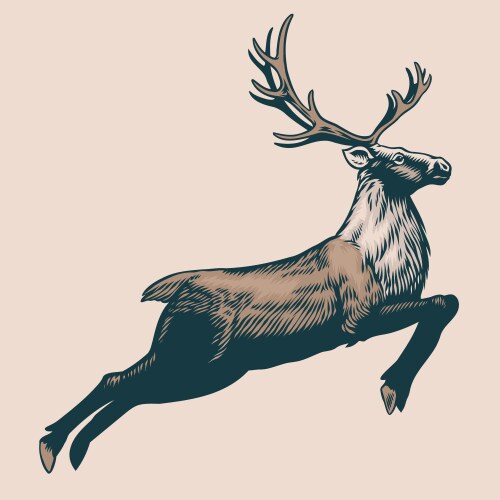 Reindeer Run Vector Images (over 1,400)