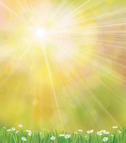 Sunshine Border Vector Images (over 2,700)